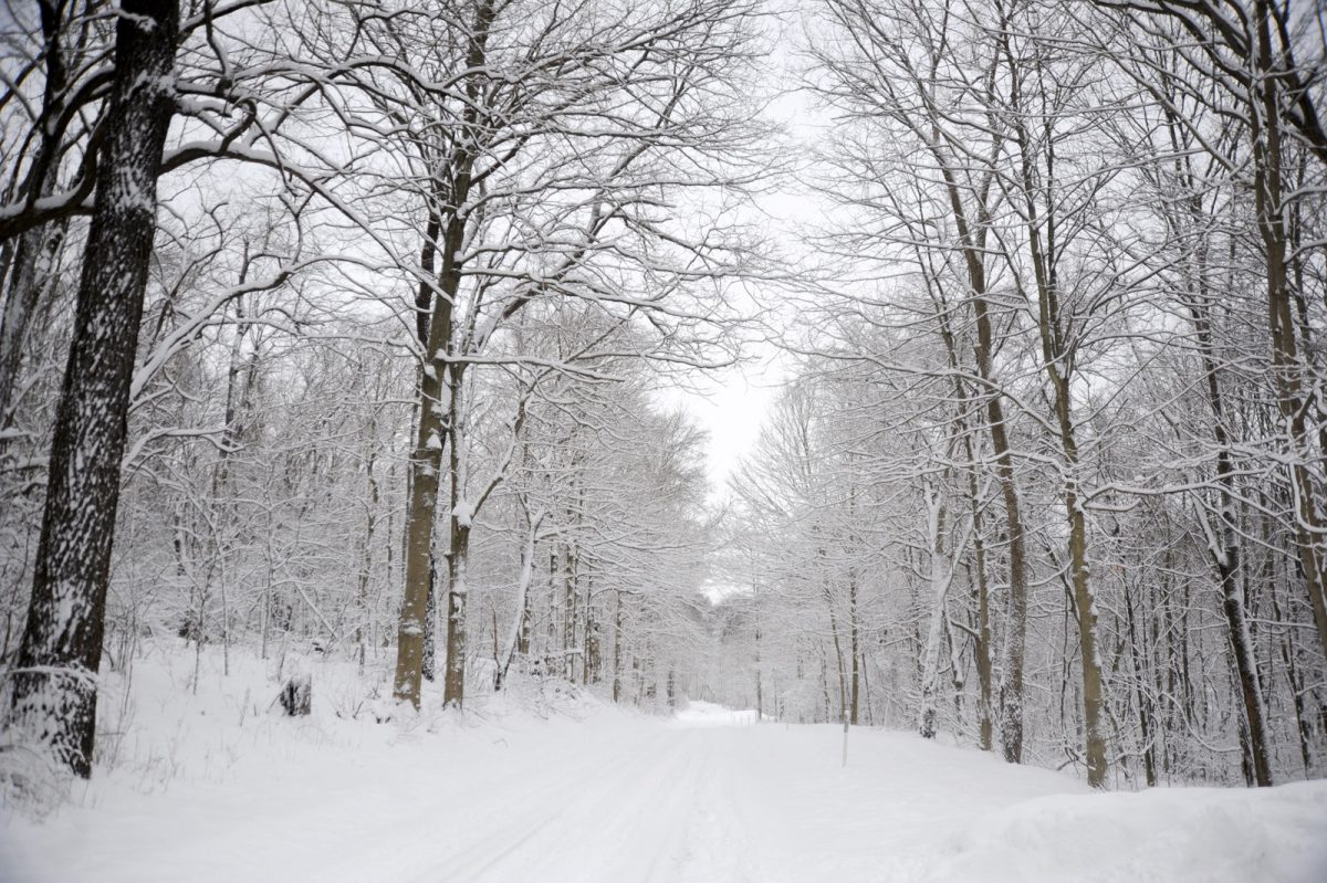 Could this weekend’s snow be the end of winter? - Observer-Reporter